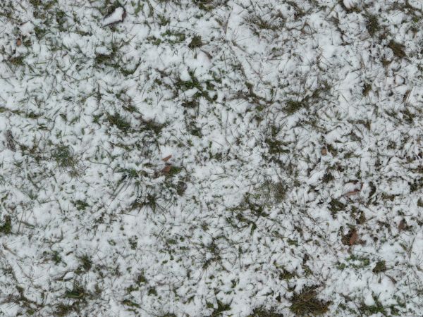 frozen ground texture 0033 - Texturelib